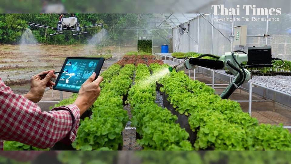 NIA's AGROWTH Platform: Boosting Deep-Tech Thai Agricultural Startups with AI, Robotics, and ...