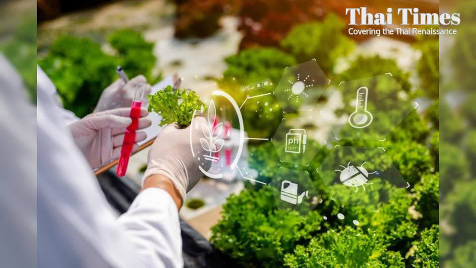 Thailand's Future Food Industry to Boost Economy - Thai Times