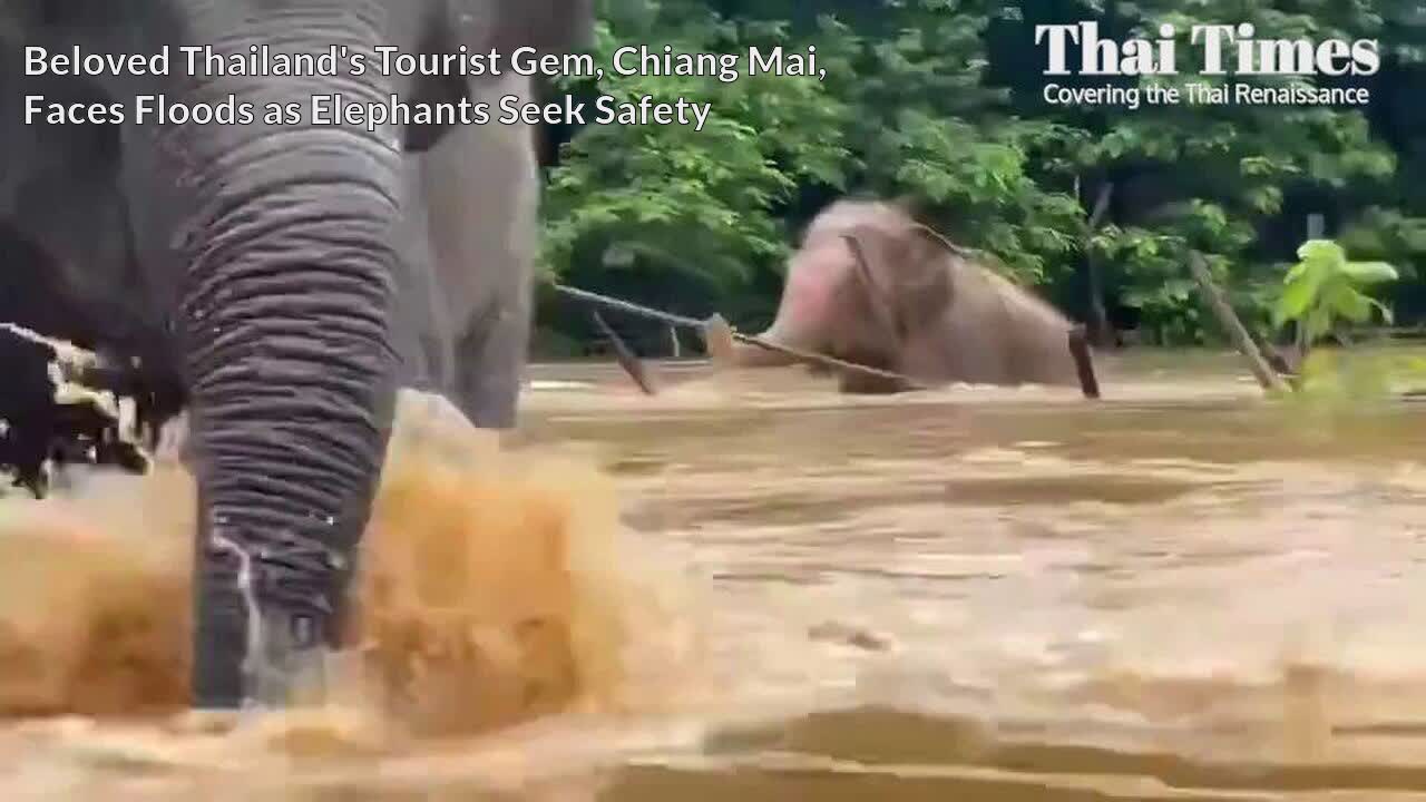 From Thailand's Flood Crisis to Ukraine's 'Victory Plan': A Global ...