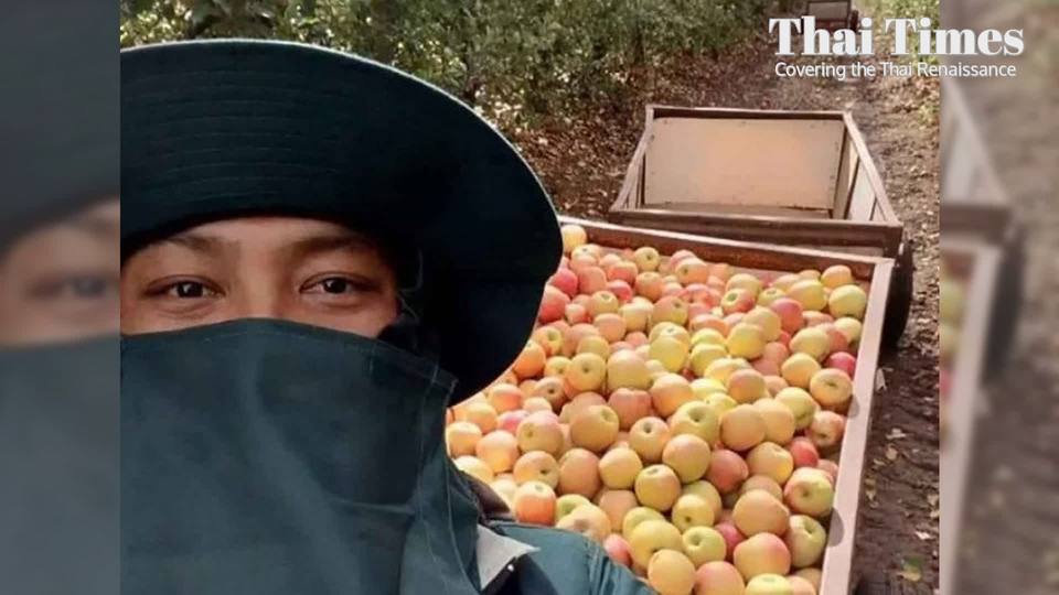 Thai Worker's Body Repatriated from Israel - Thai Times