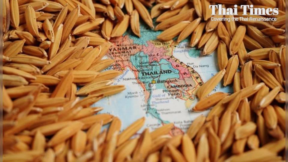 Thailand's Rice Exports Set to Reach 9 Million Tonnes in 2024 - Thai Times