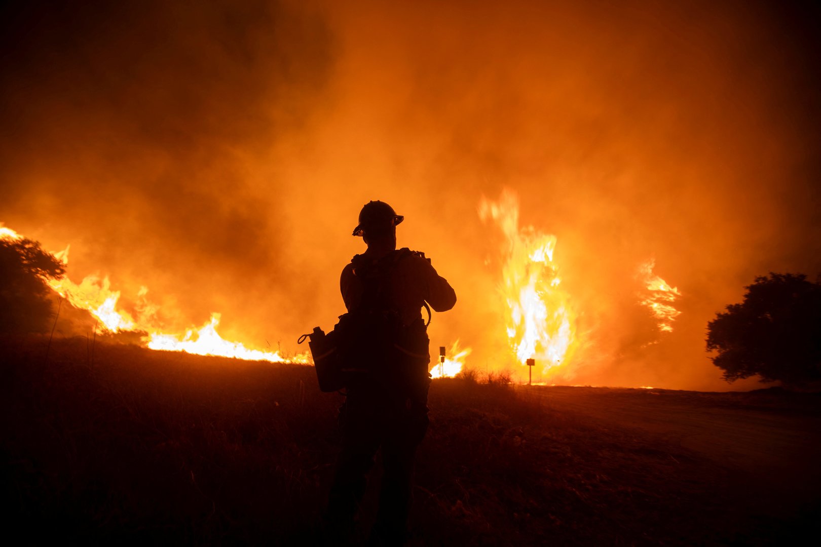 Thailand Cabinet Approves Fund to Combat Forest Fires and Air Pollution ...