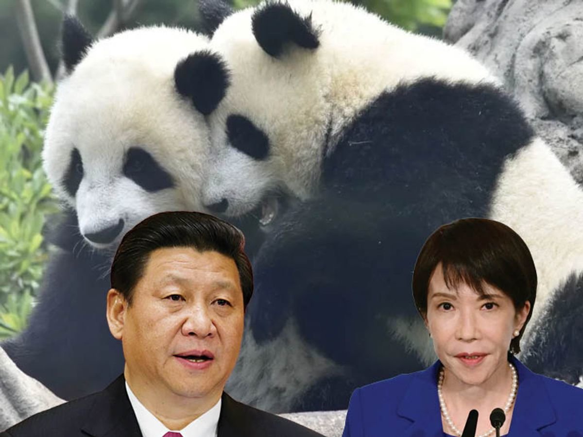 Japan Bids Farewell to Its Last Pandas Amid Rising Tensions with China ...